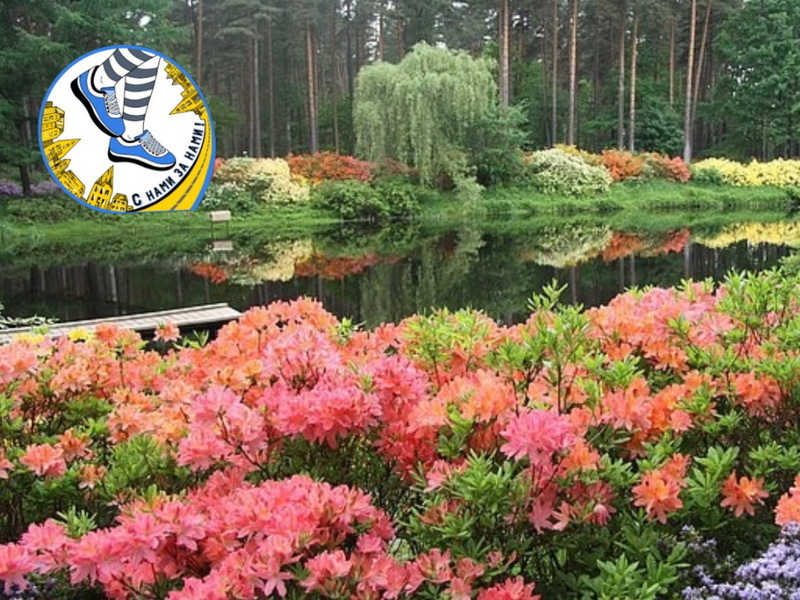 Riga. Rhododendron Park "Babite" | IZI Travel